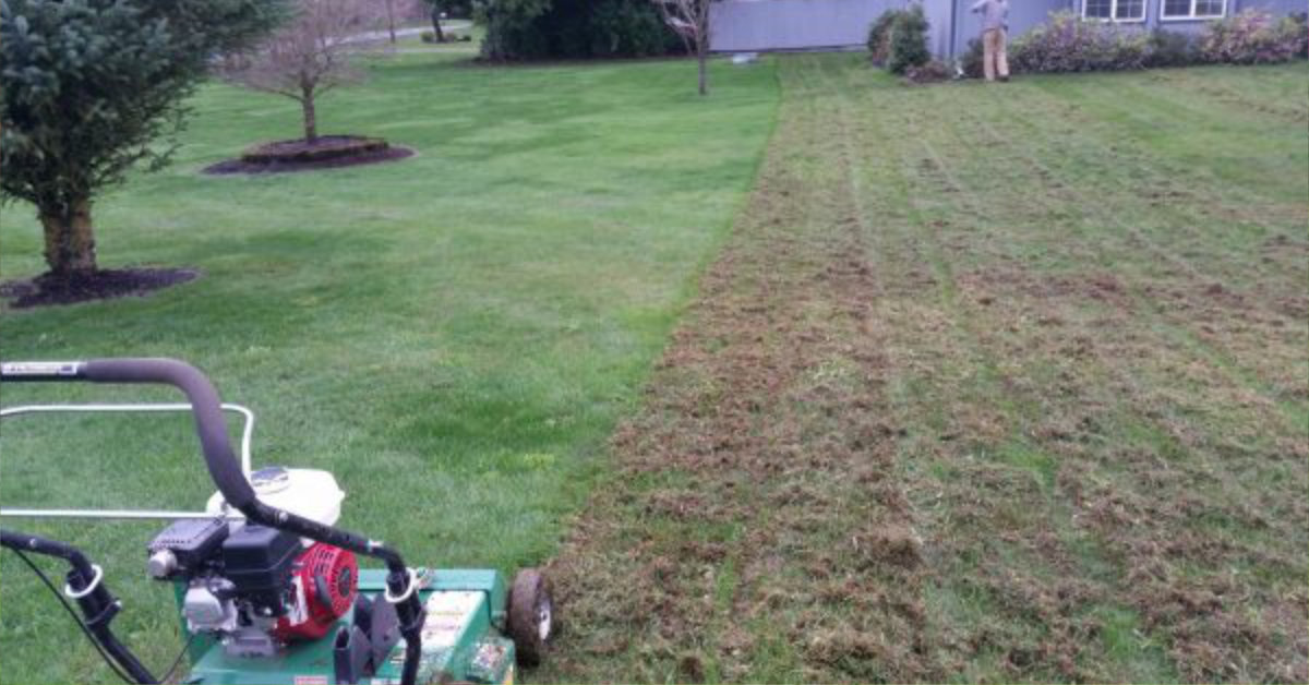 Spring Lawn Care: Aeration, Dethatching, and Spring Fertilizer ...
